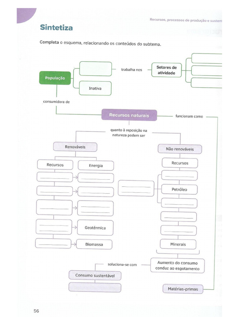Sintetiza Recursos | PDF