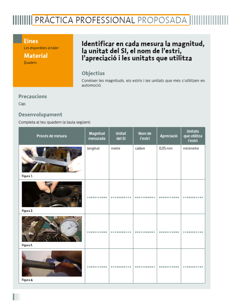 CFGM MB UT03 Identificar | PDF