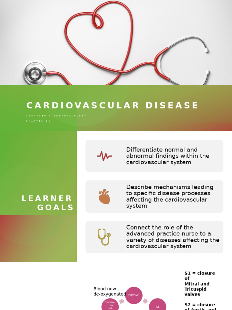 2024 Cardiovascular Disease Patho | PDF | Heart Valve | Heart