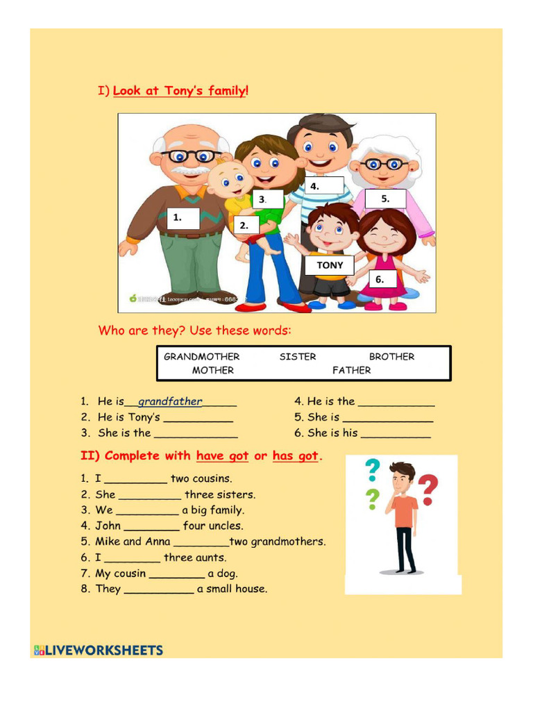 Have Got and Has Got Homework 2 | PDF