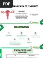 Anatomia Del Cervix | PDF | Vagina | Pelvis