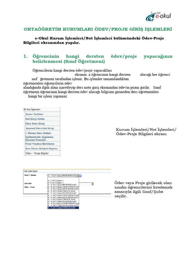 18124306_eokul_odev_proje_ortaogretim_2010 2 | PDF