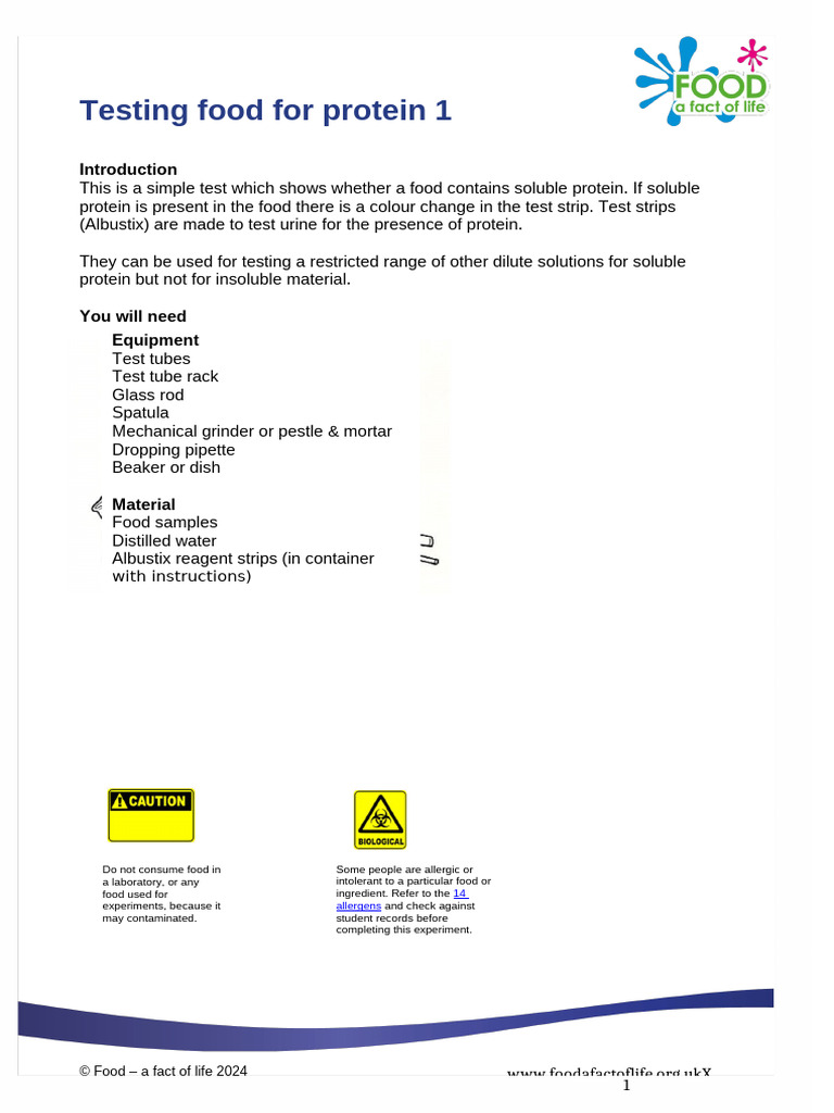 Testing For Protein 1 Ws 1416fs | PDF | Foods