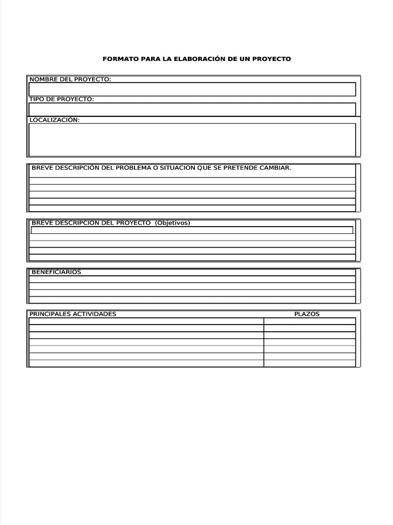 Formato para Proyectos: Guía SEO | PDF