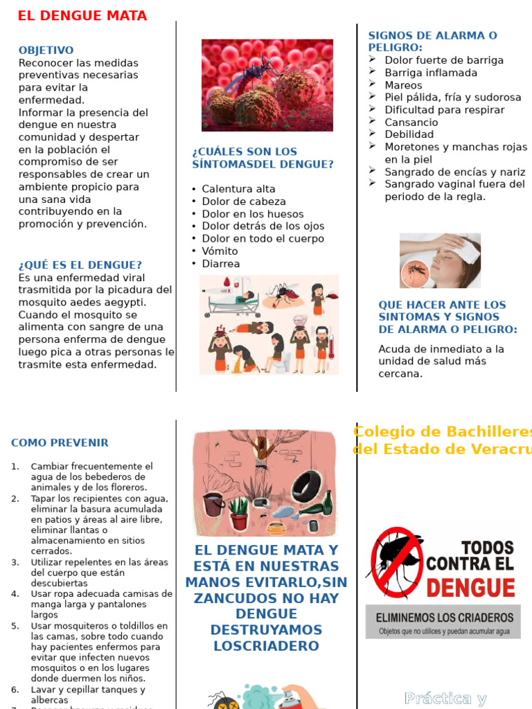 Triptico DENGUE | PDF | Medicina CLINICA | Enfermedades y trastornos humanos