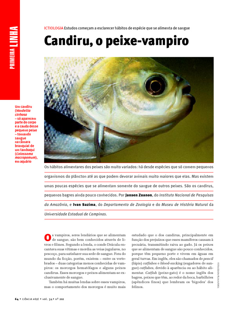 candirú | PDF | Brânquia | Peixes