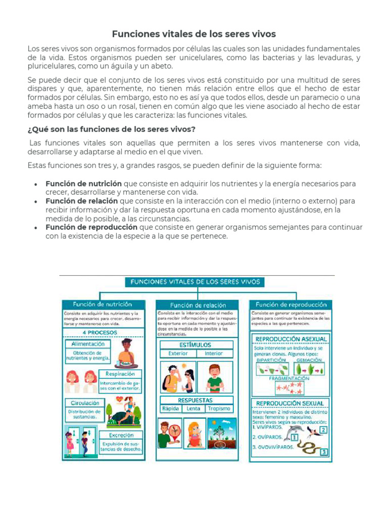 Funciones Vitales de Los Seres Vivos | PDF