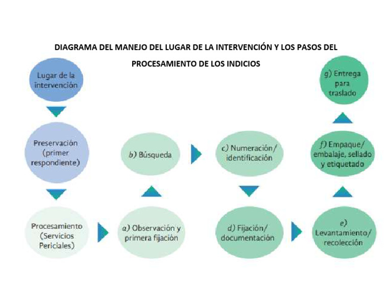Diagrama Del Manejo Del Lugar de La Intervención y Los Pasos Del Procesamiento de Los Indicios | PDF