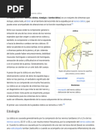 Estado Postictal - Wikipedia, La Enciclopedia Libre | PDF | Neurología ...