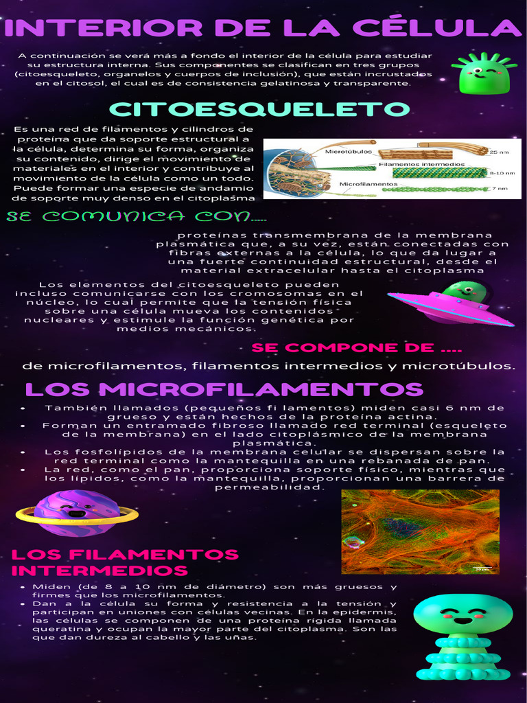 Interior de La Célula (5) | PDF | Nucleo celular | Biología Celular)