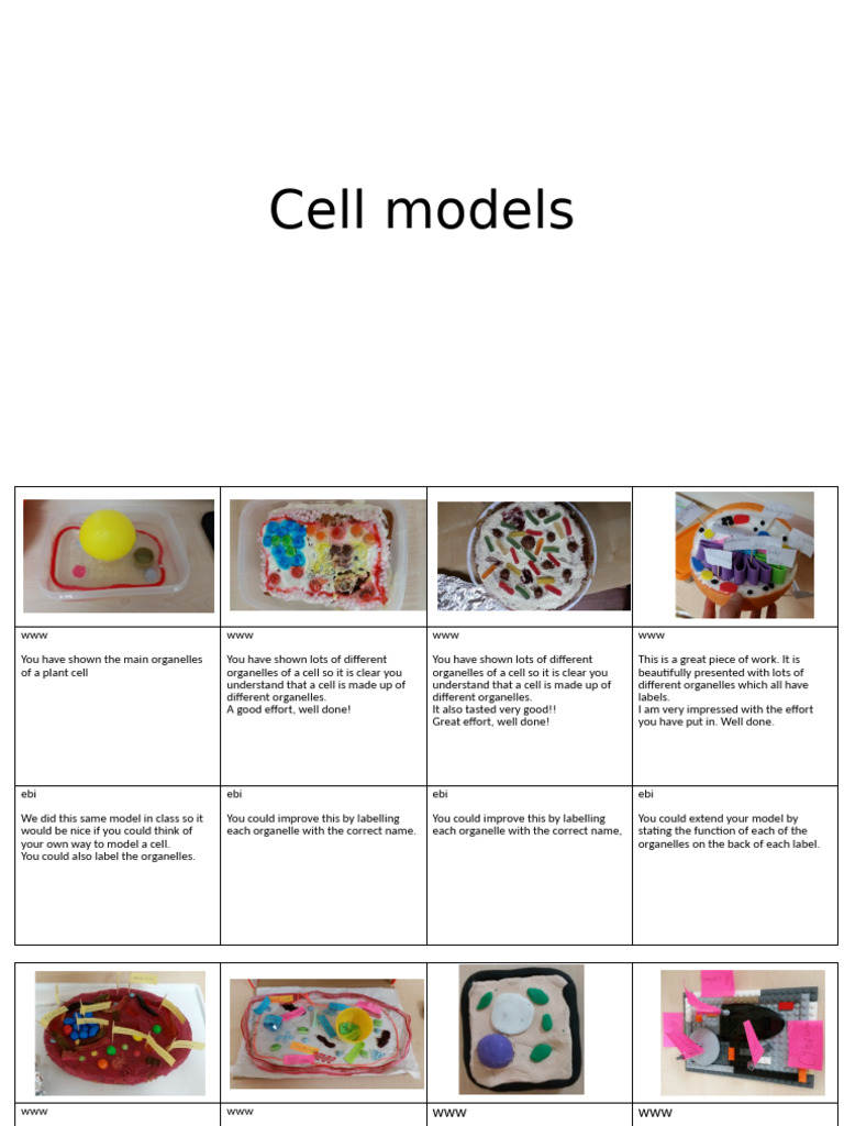 Cell Models | PDF | Cell (Biology) | Biology