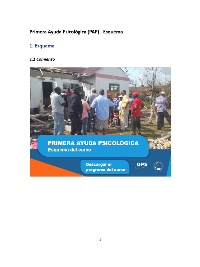 Primera Ayuda Psicológica (PAP) - Esquema | PDF