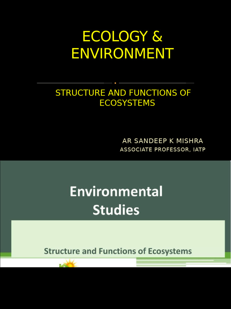 Structure & Functions of Ecosystems | PDF
