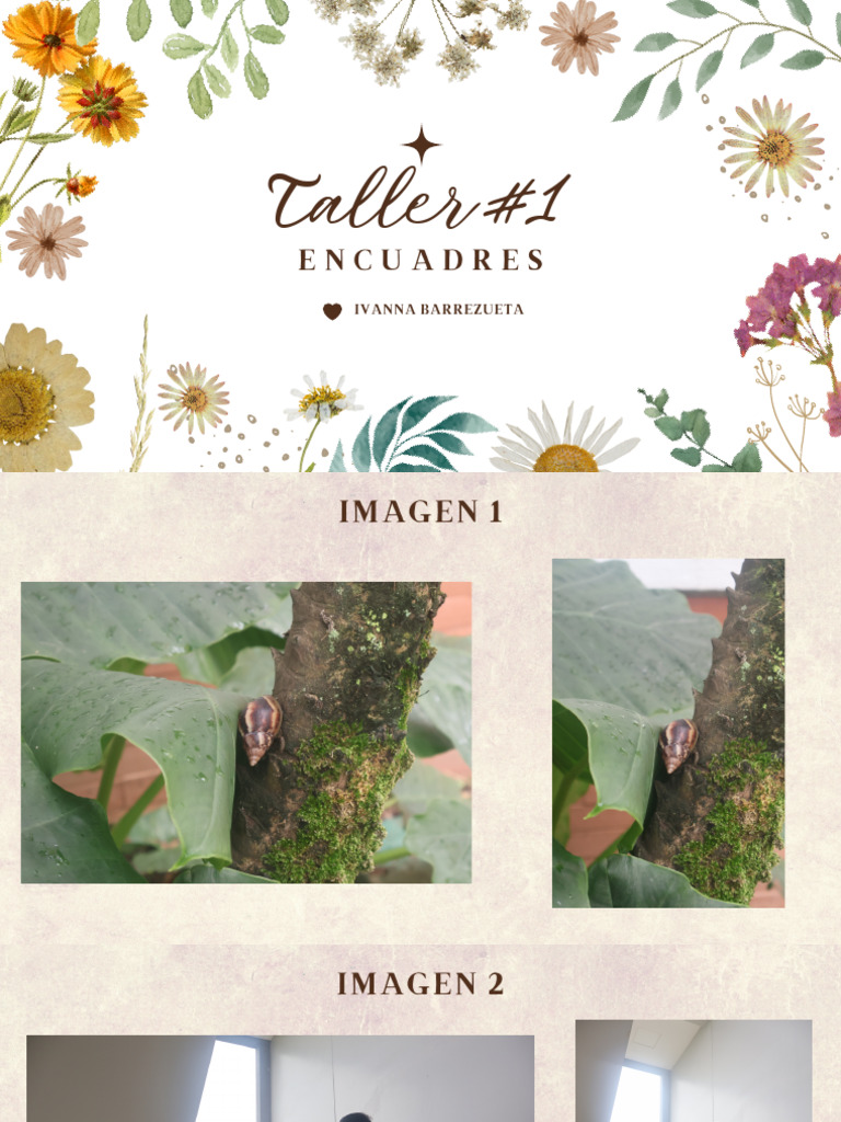 Taller #1 Encuadres | PDF