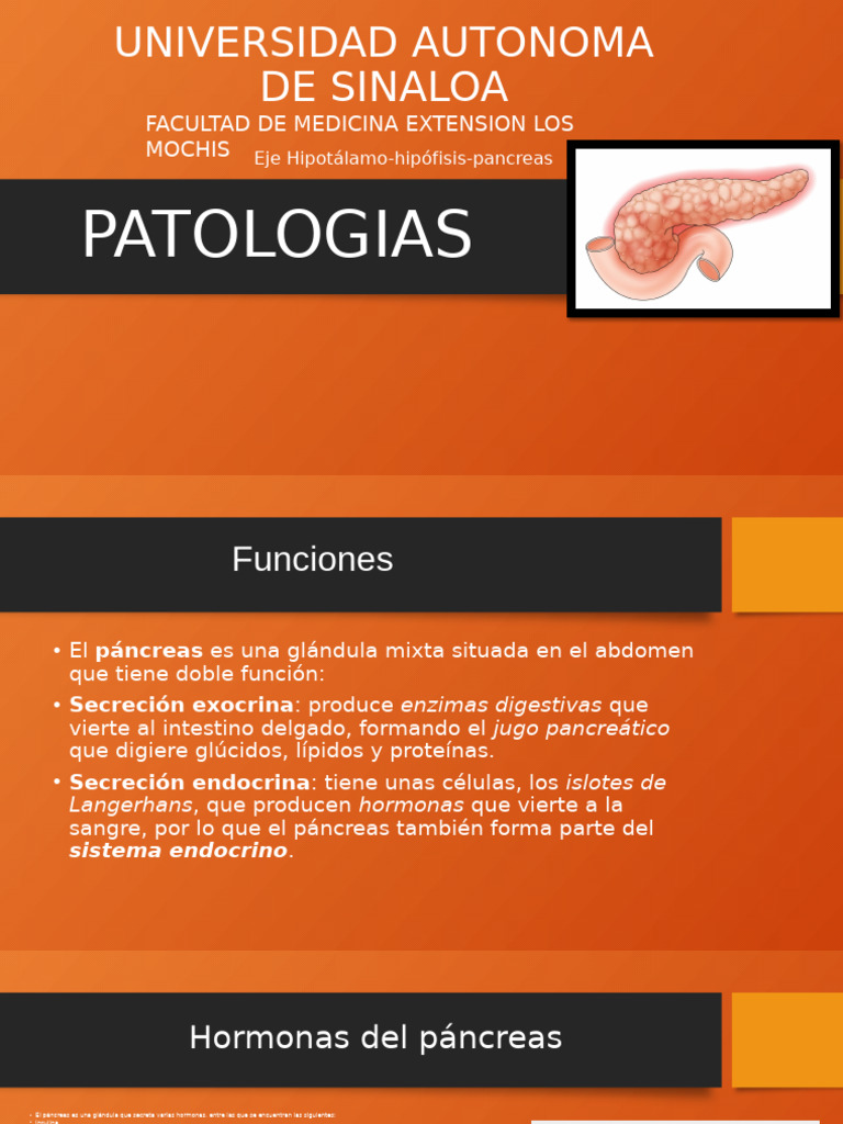 Pancreas | PDF | Páncreas | Diabetes