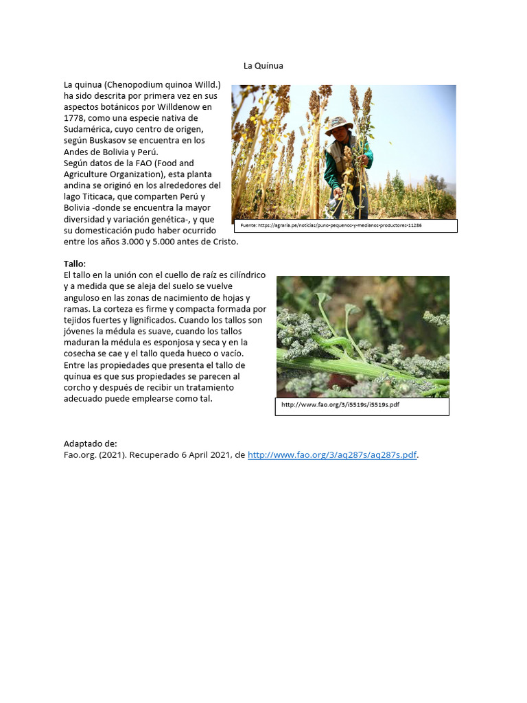 Actividad 3 - CyT - Recurso 1 - EXP7 - VII (5TO) - Eda 7 | PDF