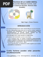 Triada de Keyes en Caries Dental | PDF | Las bacterias | Diente