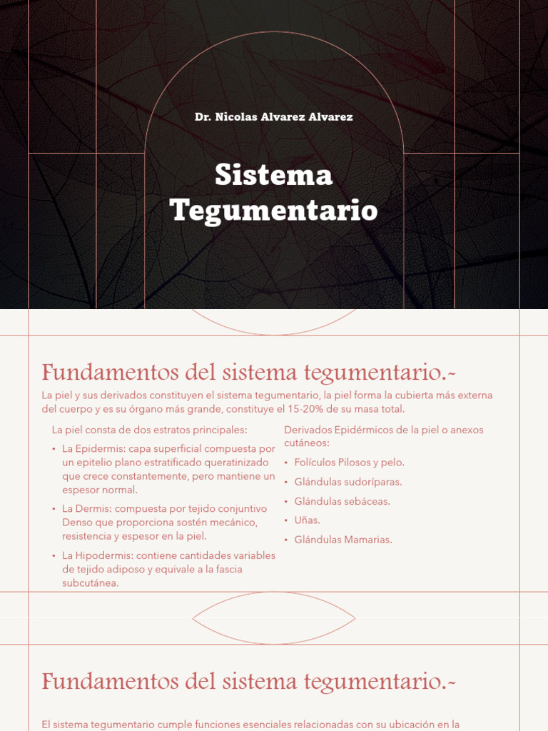 Sistema Tegumentario | PDF | Sistema tegumentario | Piel