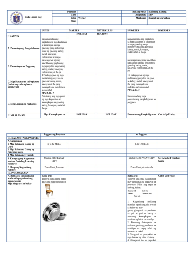 Dll Week 2-q4 Epp 5 | PDF