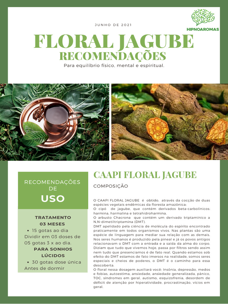 Floral Jagube: Equilíbrio e Cura | PDF | Ayahuasca