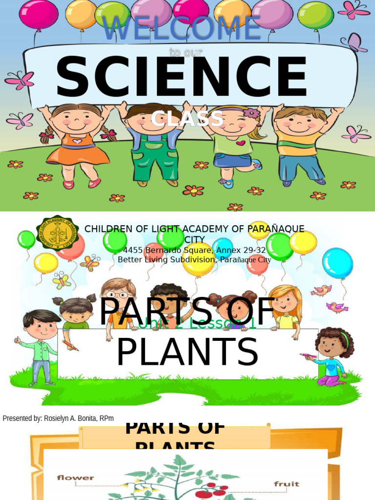 Parts and Sizes of Plants Guide | PDF