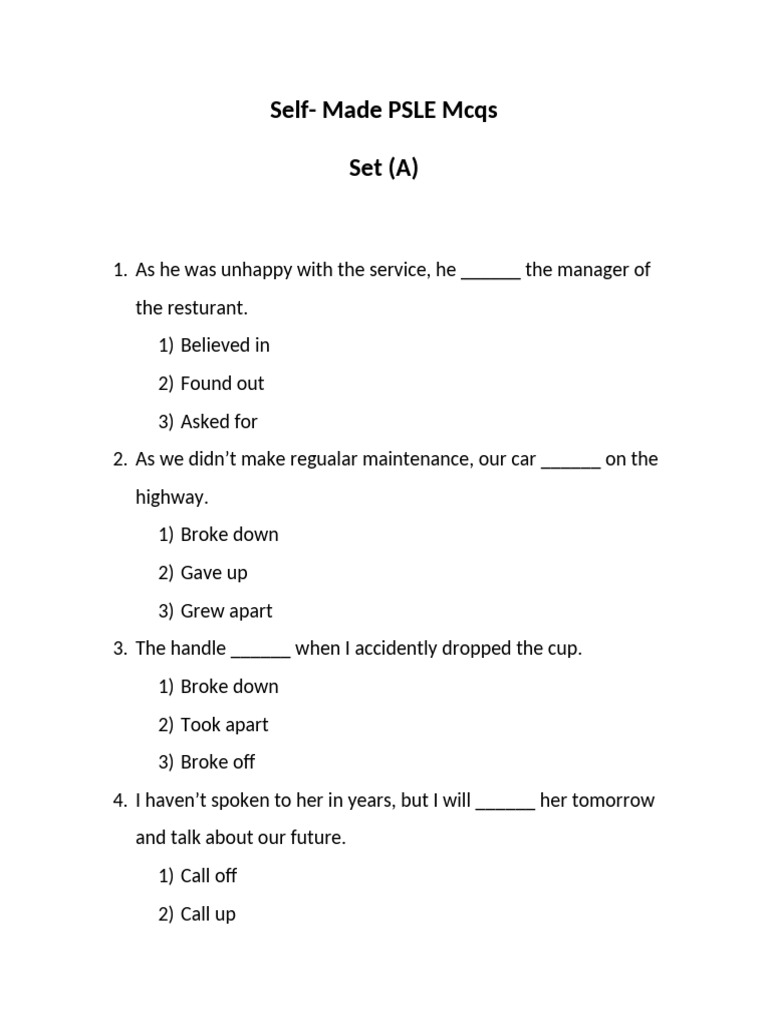 Self Made PSLE Questions | PDF