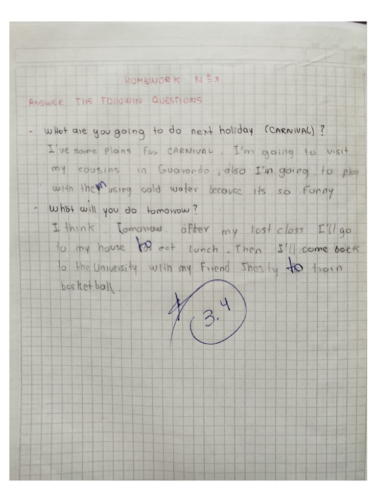 Homework Paragraphs | PDF