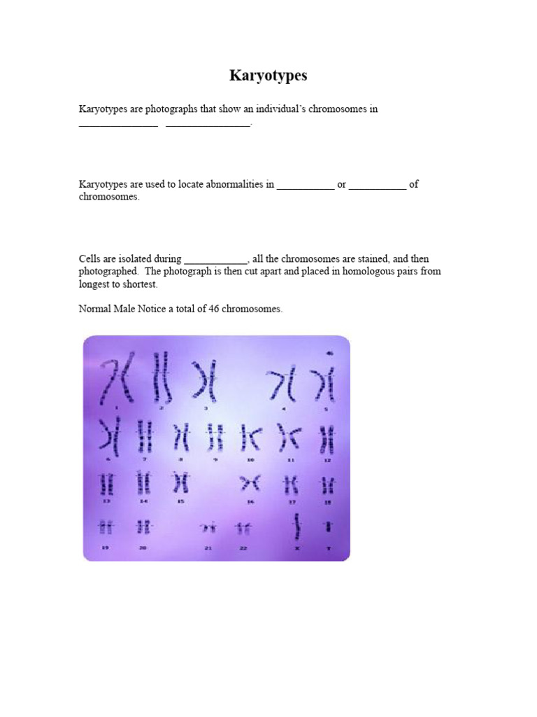 Karyotype Fill in Notes | PDF