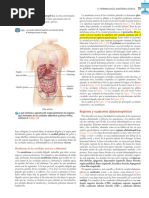 LOCALIZACI+ôN DE ESTRUCTURAS ANAT+ôMICAS. Cavidades Corporales. | PDF | Abdomen | Tórax