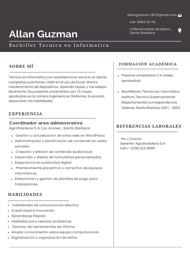CV Allan | PDF