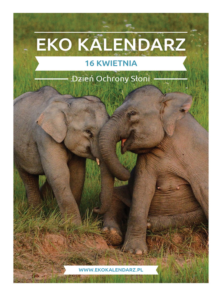 Elephants | PDF