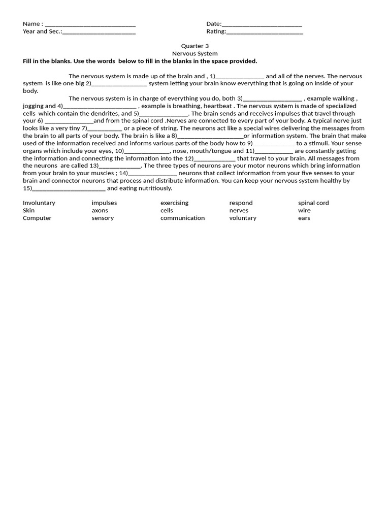 Grade 10 Nervous System Activity | PDF