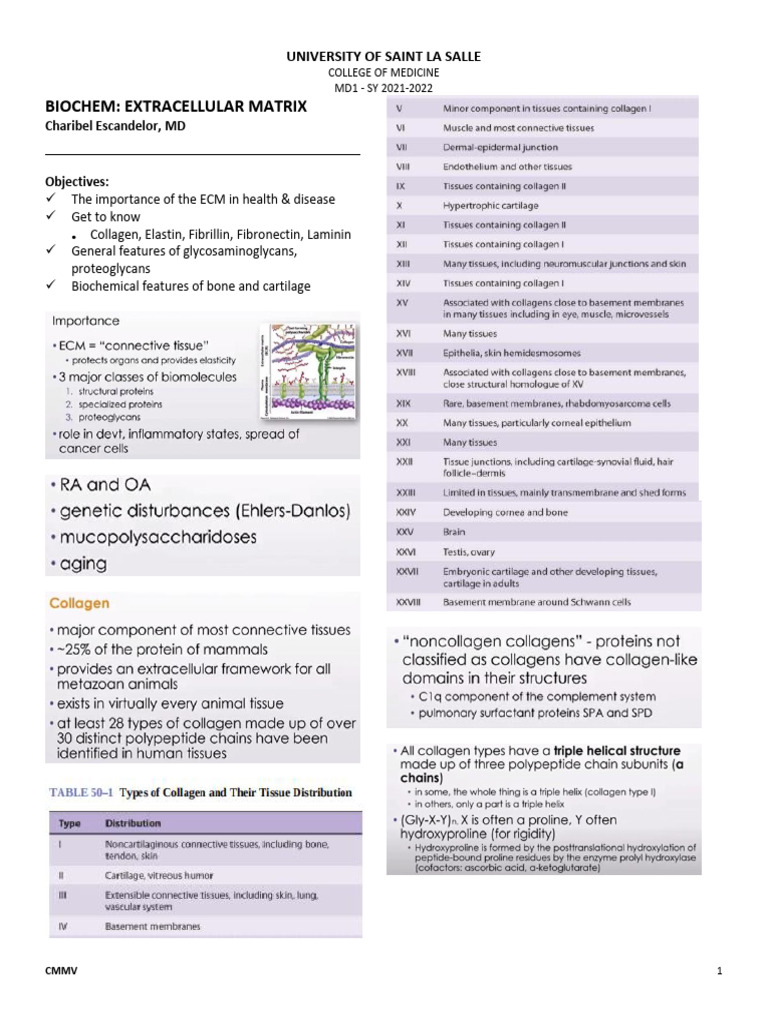 Biochemistry of Extracellular Matrix | PDF