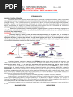 Neutrófilos Segmentados en Hematología | PDF | Leucocito | Capilar