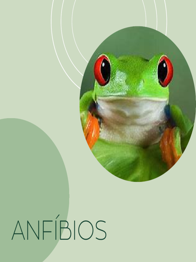 Características dos Anfíbios e Classificação | PDF