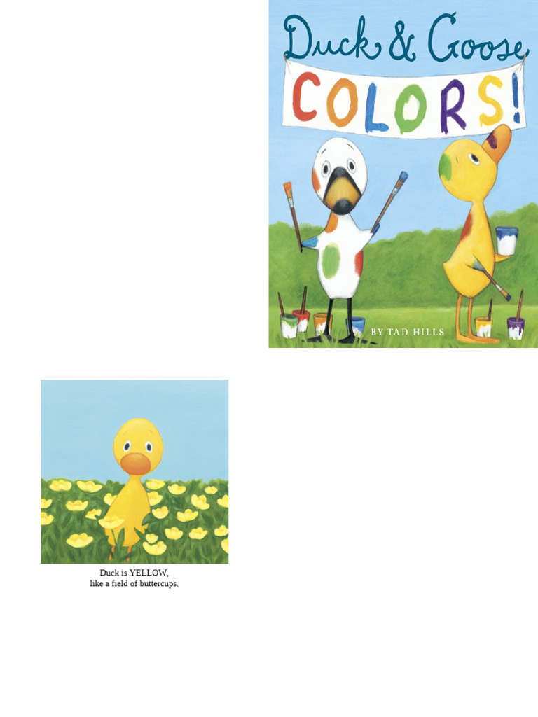 588818942 Duck Goose Colors Bklt | PDF