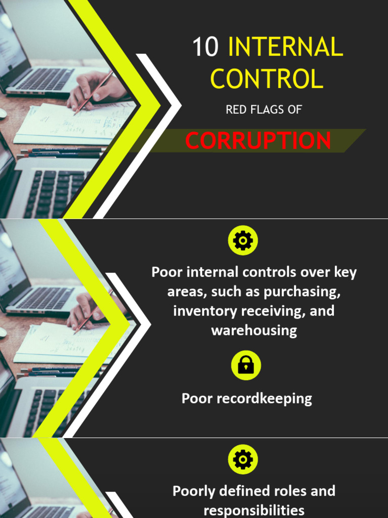 10 Internal Control Red Flag | PDF