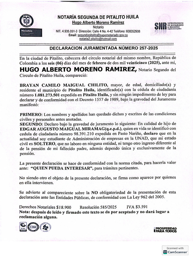 Declaración juramentada 2 | PDF