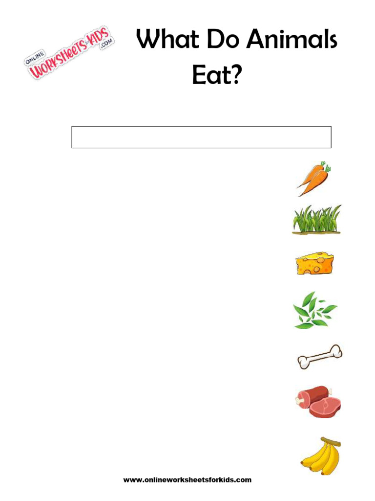 Animals and Their Food Worksheet | PDF