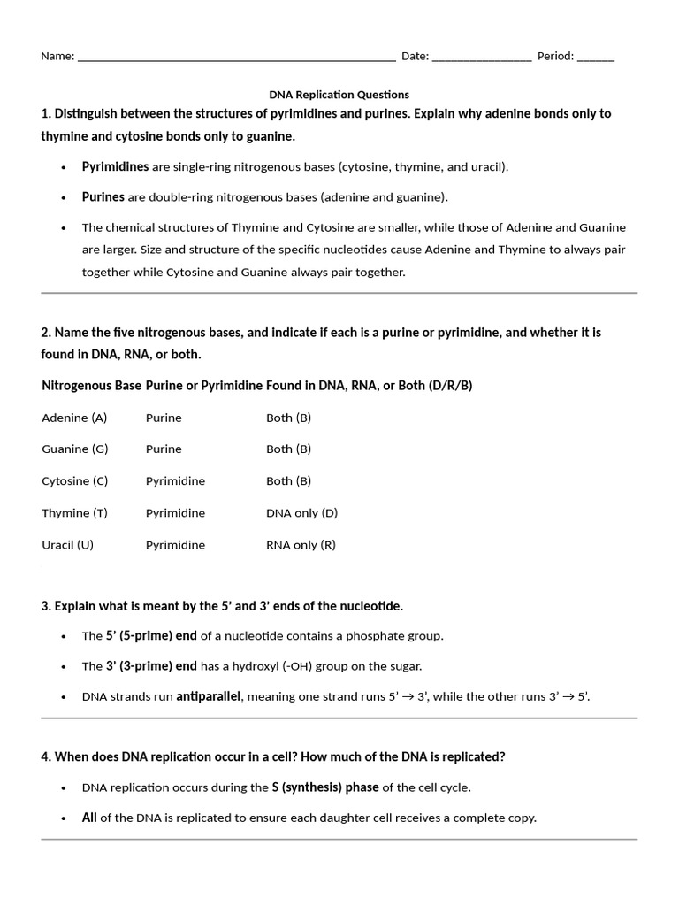 KEY to DNA replication questions with Sketch notes_done | PDF | Dna ...