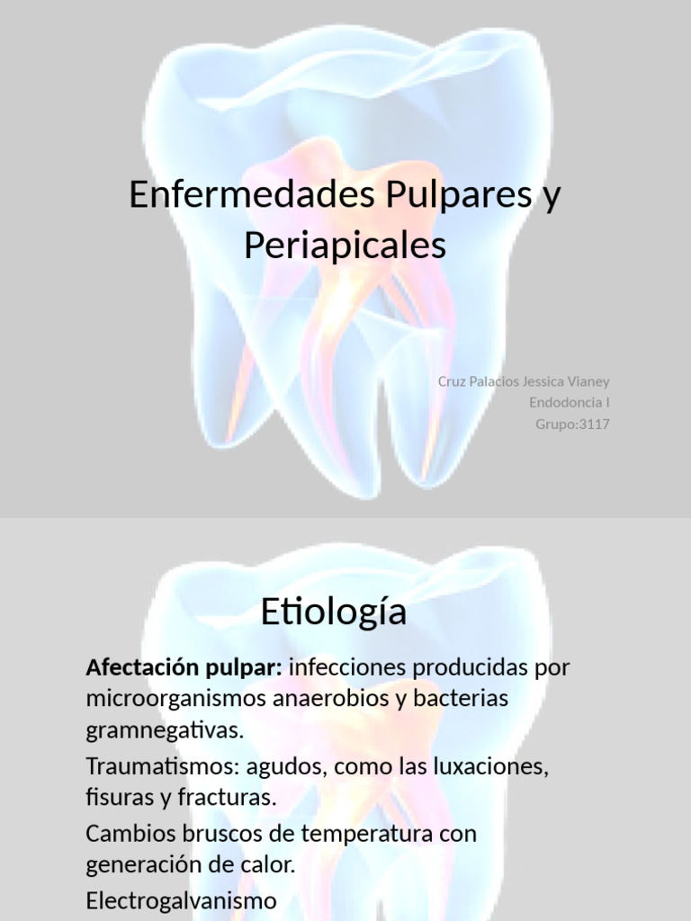Enfermedades Pulpares y Periapicales: Guía Completa | PDF ...