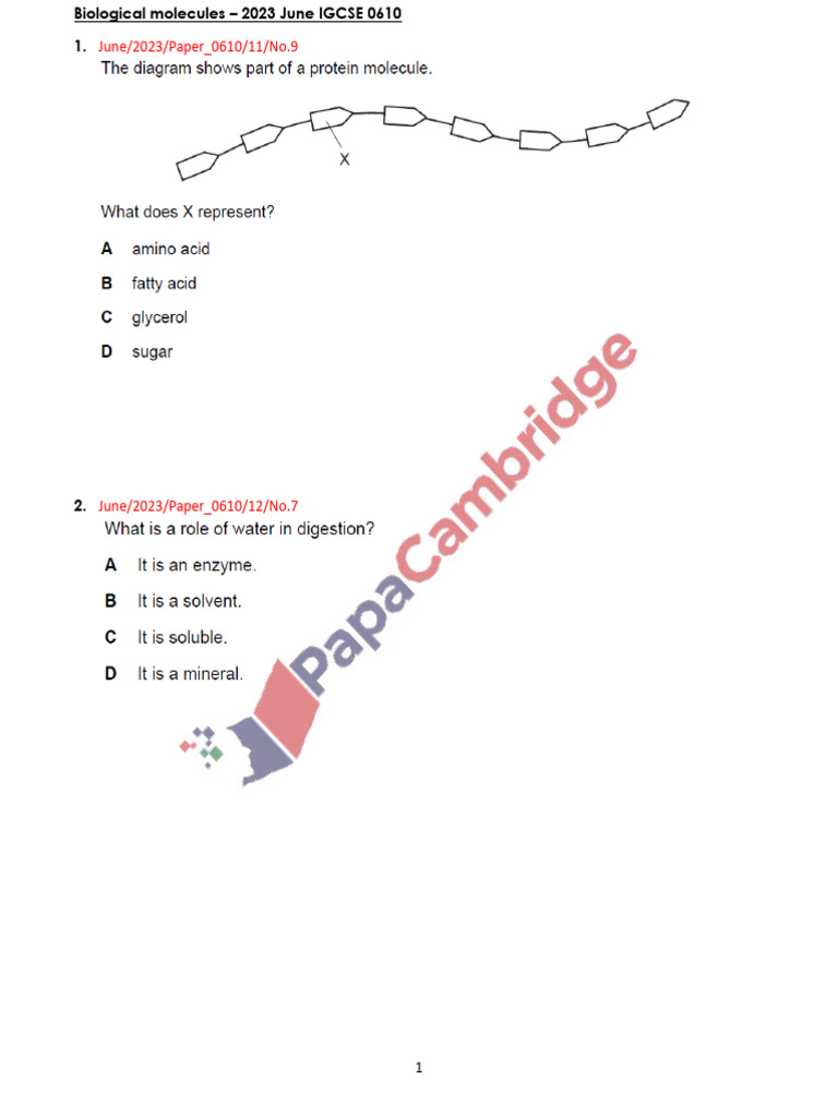 2023 Biological Molecules Igcse 0610 Biology Pdf