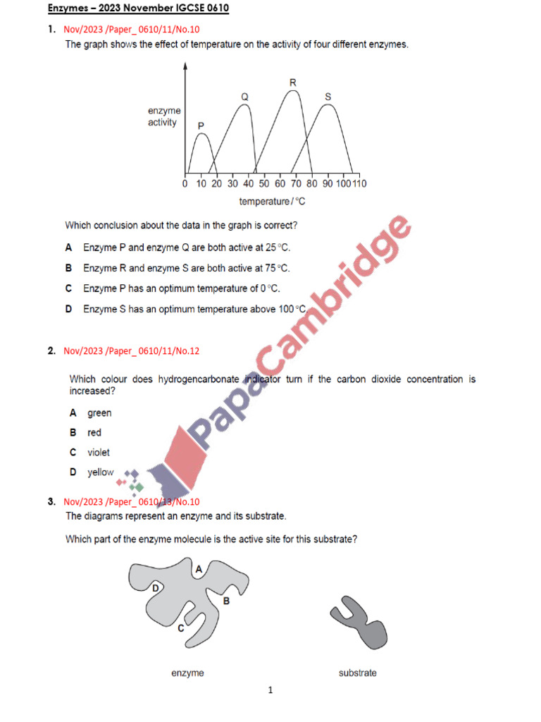 2023 Enzymes IGCSE 0610 Stru | PDF
