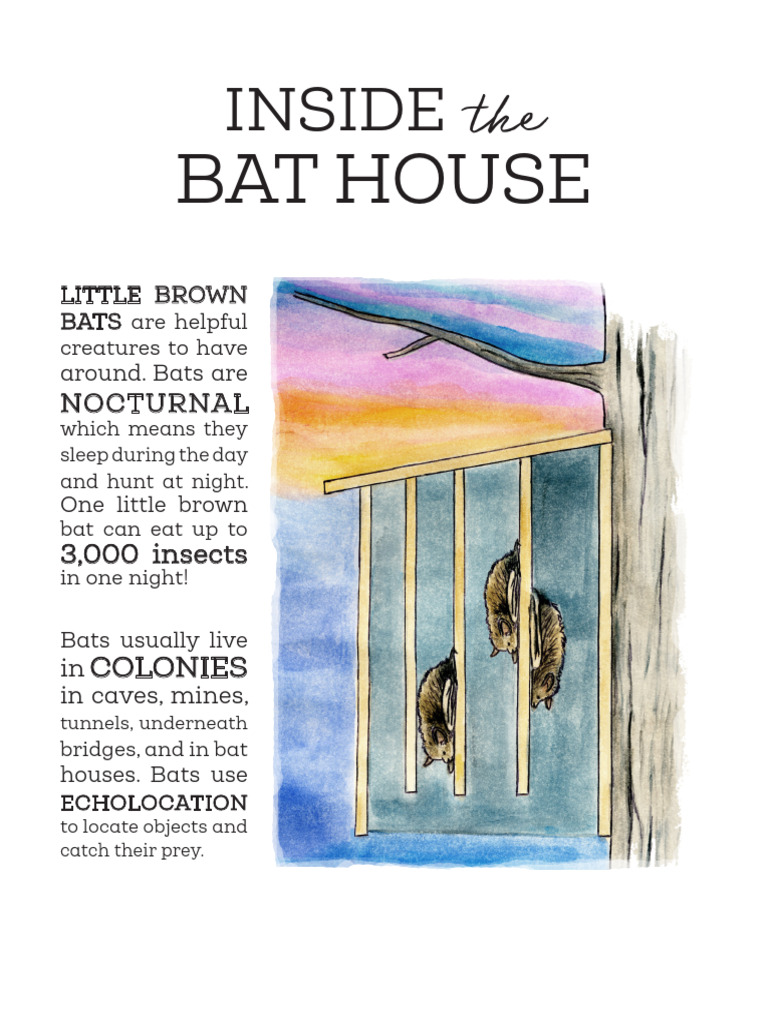 Brown Bats Printable 1 | PDF