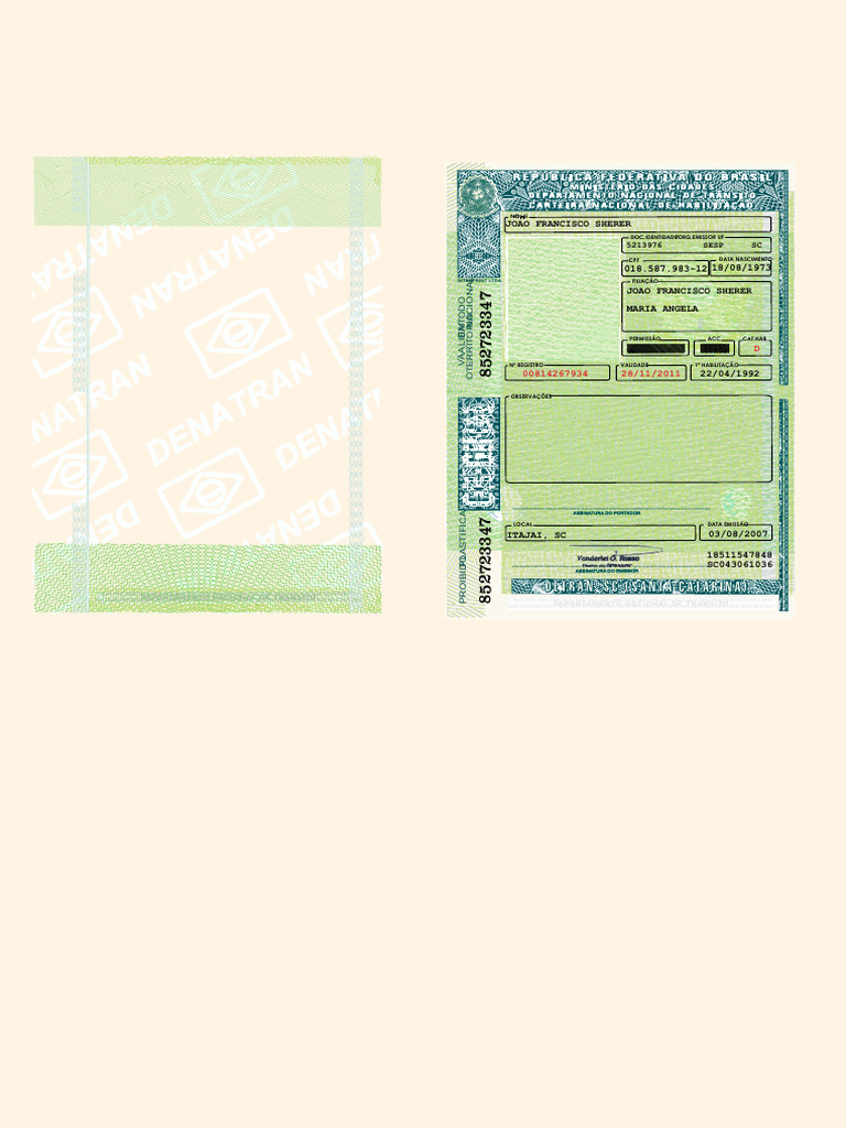 Carteira Nacional de Habilitação BR | PDF