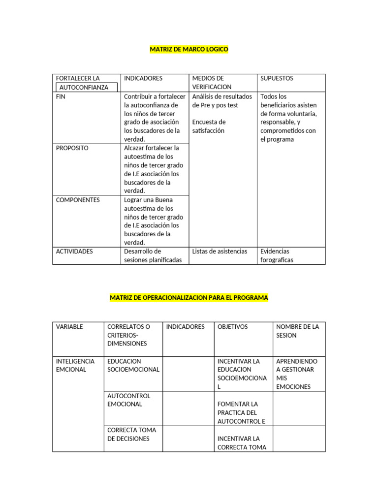 Matriz de Marco Logico | PDF