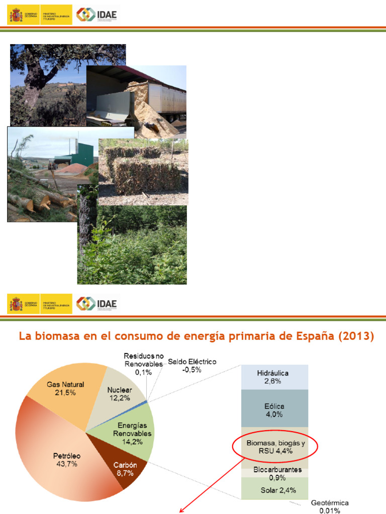 La Biomasa | PDF | Combustibles | Biomasa