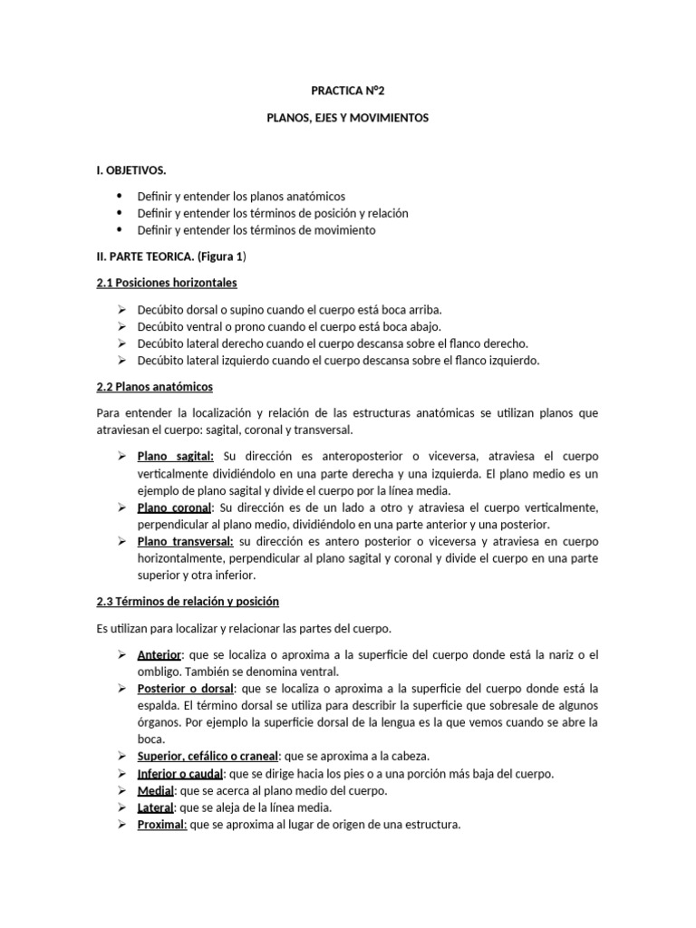 PRACT-FIS 02 | PDF | Términos anatómicos de ubicación