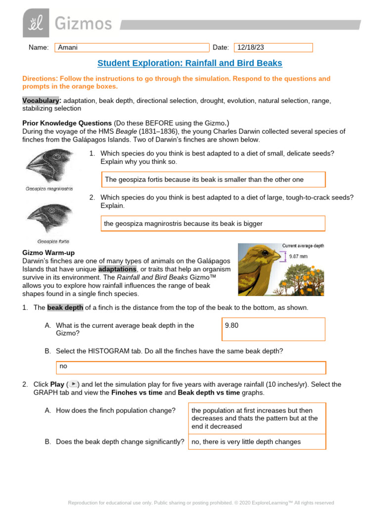 Rainfall Bird Beaks Gizmos | PDF | Zoology | Evolutionary Biology
