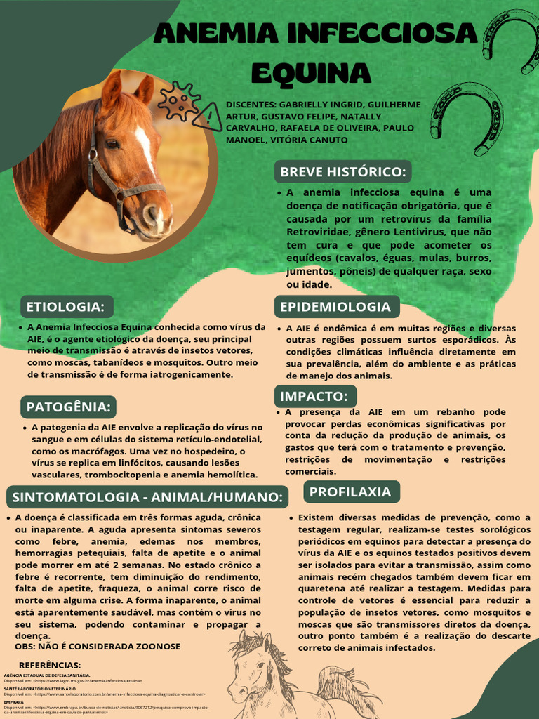 Anemia Infecciosa Equina | PDF | Vírus | Anemia